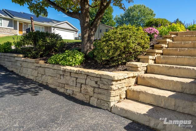 Rosetta Dimensional Steps | R.I. Lampus