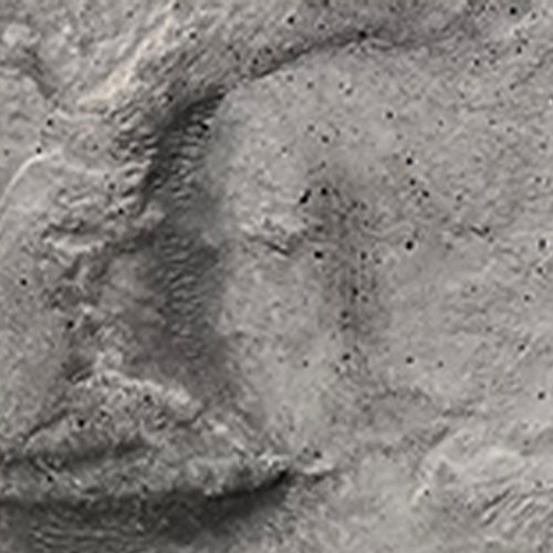 Rosetta Dimensional Coping | R.I. Lampus